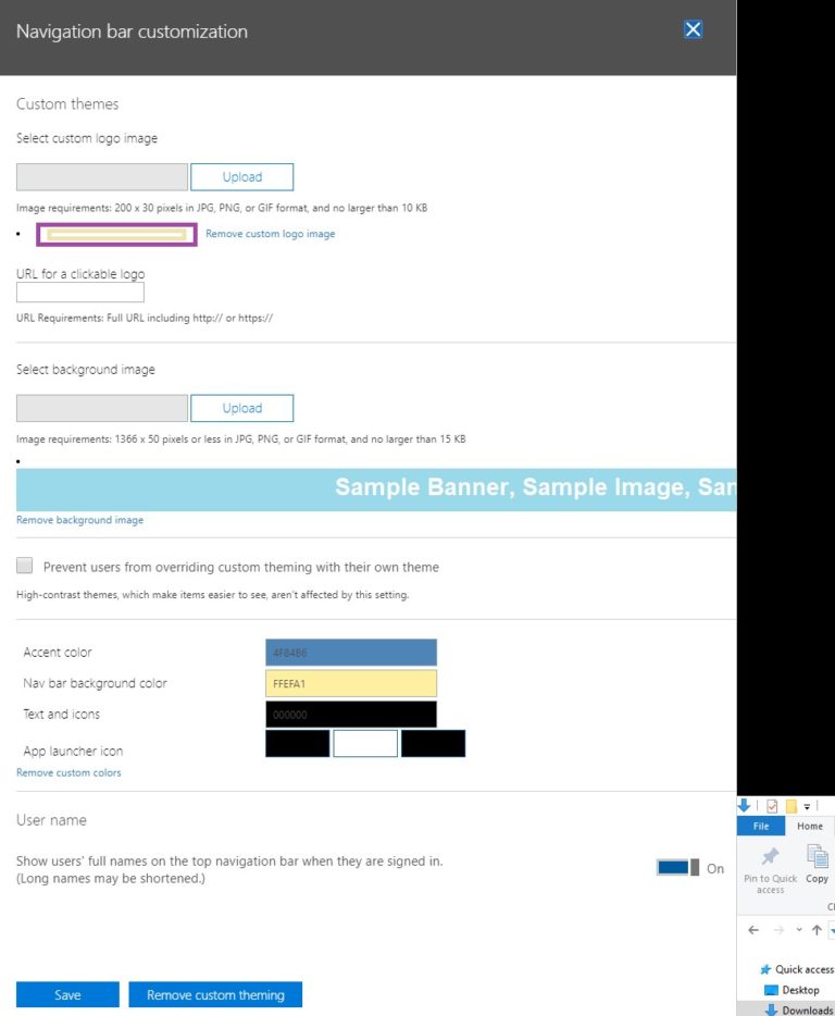 How to Customize Your Theme in Microsoft Dynamics 365 | Velosio