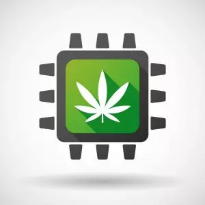 Tips for Maximizing and Monitoring Cannabis Tracking Software